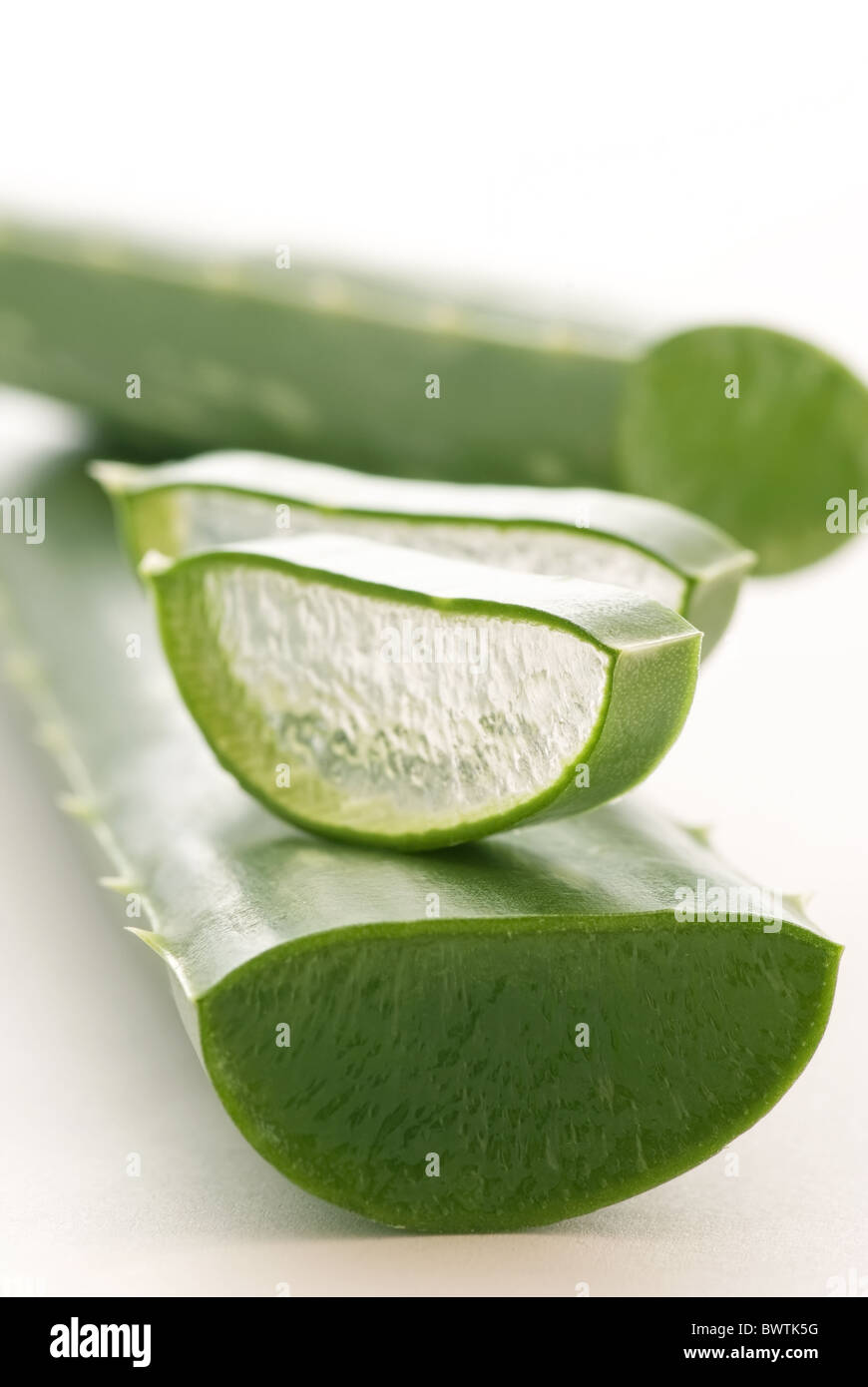 Aloe leaves with cut aloe slice as closeup on white background Stock ...