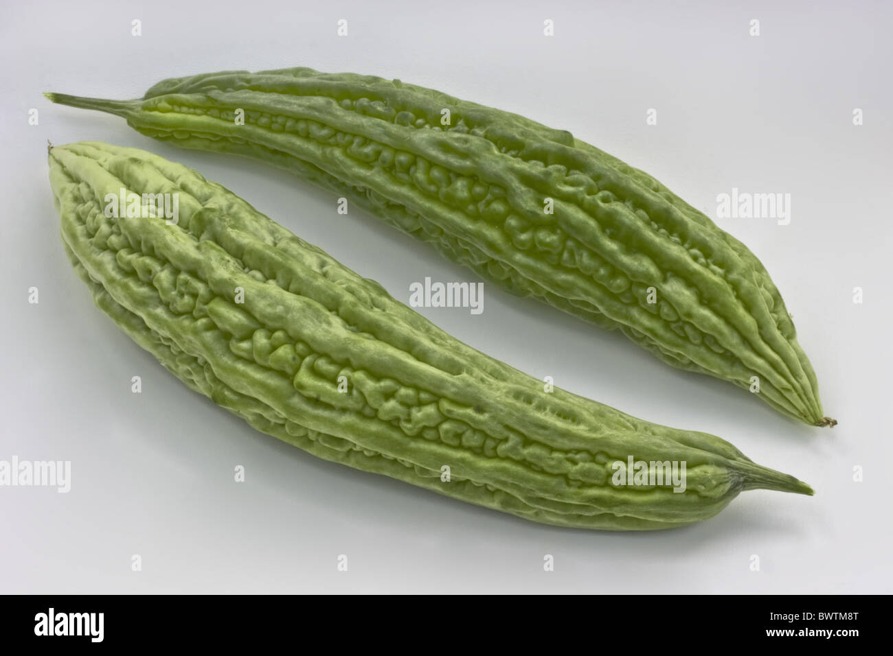 Momordica charantia Bitter gourd Bitter melon Hanzal Nigauri Peria ...