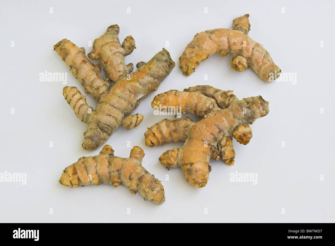 Asia Asian Turmeric Indian Saffron Curcuma longa Root Roots Vegetable ...