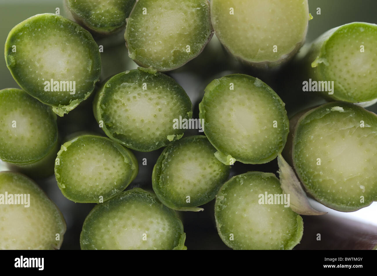 asparagus vegetable close-up cut cross section vitamins vegetable ...