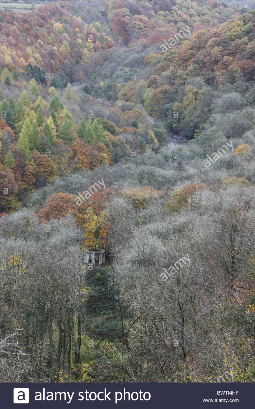 Hackfall Woods High Resolution Stock Photography and Images - Alamy