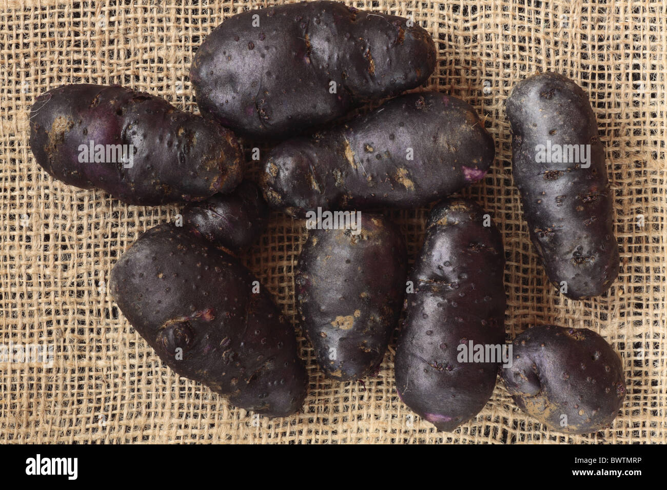 europe european organic farm farming potato potatoes tuber variety spud ...