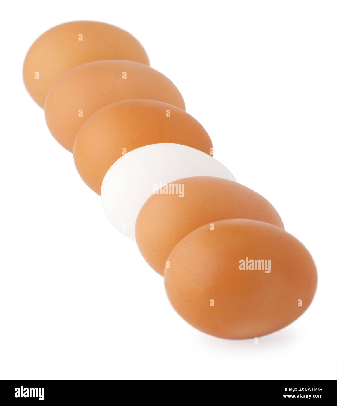 Six distinct eggs hi-res stock photography and images - Alamy