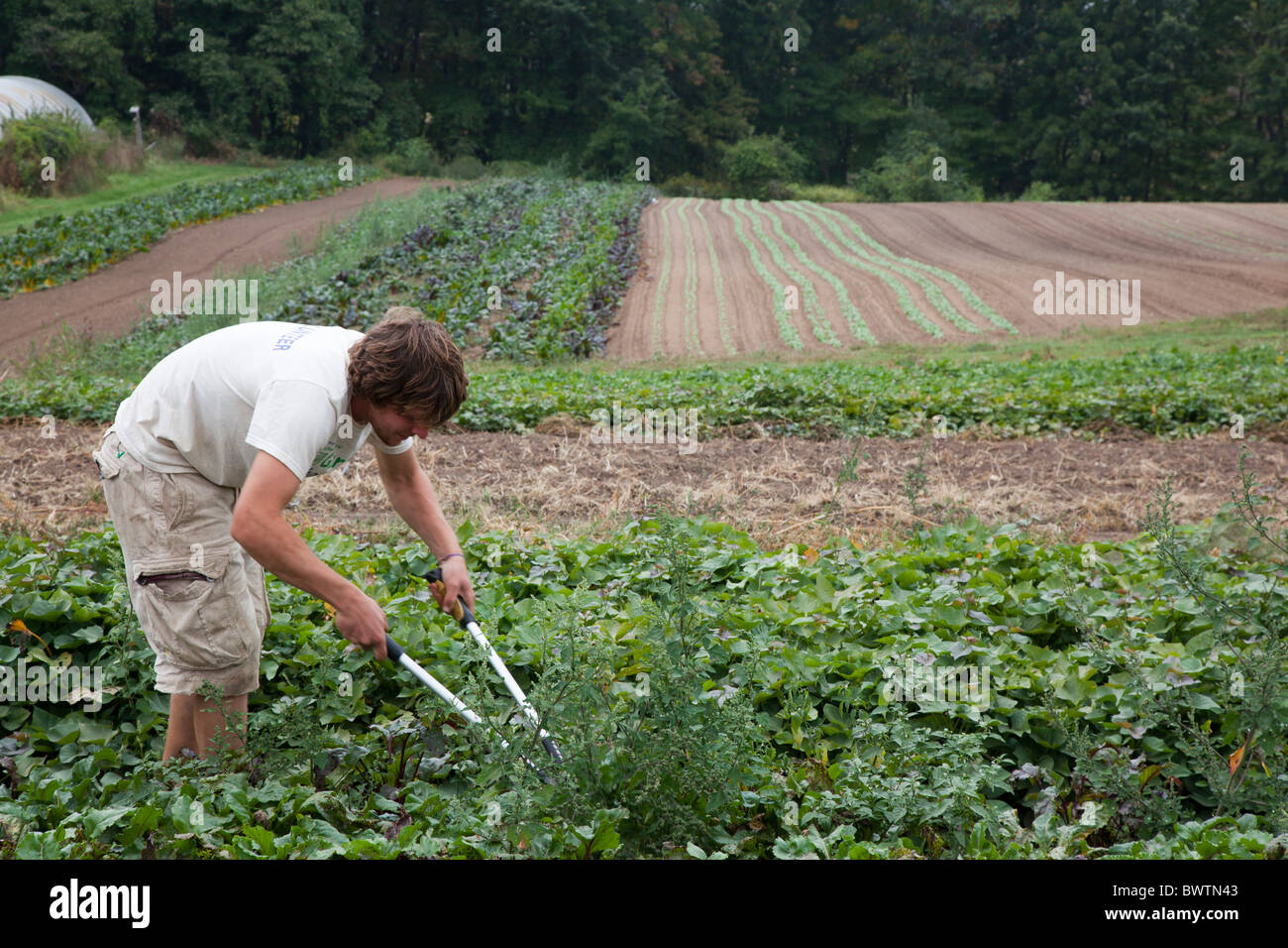 Internship hi-res stock photography and images - Alamy