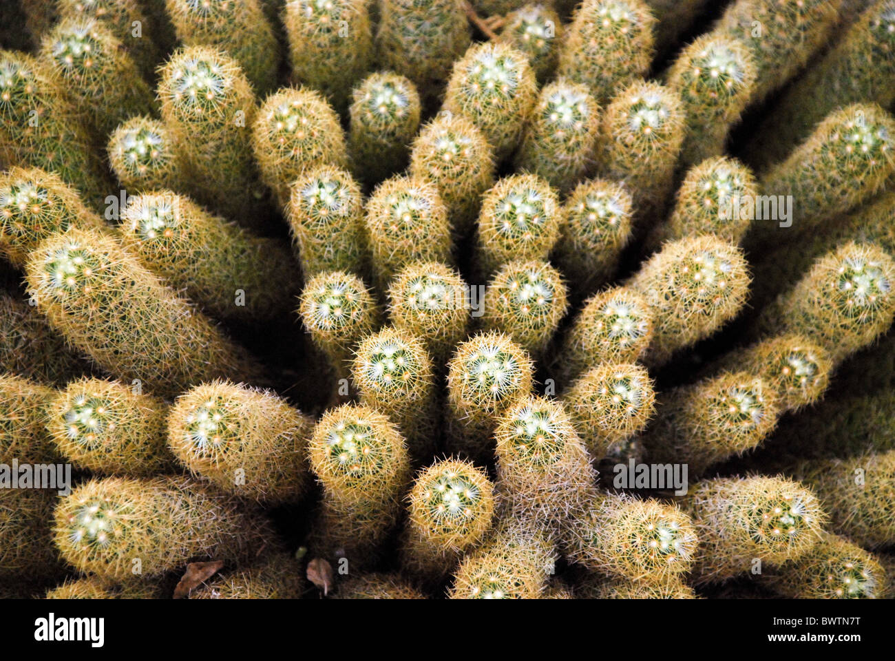 Montreal plant hi-res stock photography and images - Alamy