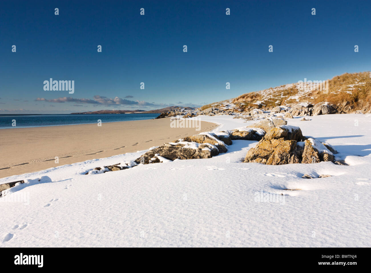 Winter Beach Snow