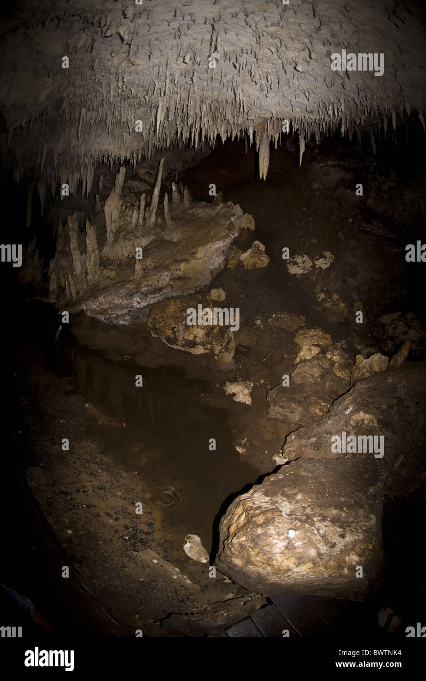 Stream Stalactites Stalagmites Cave Lake Cave Margaret River Australia ...