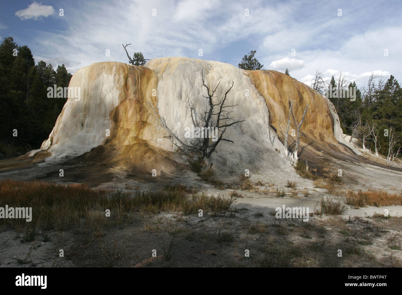 Orange Spring Mound, formed by mineral deposits, thermophilic ...