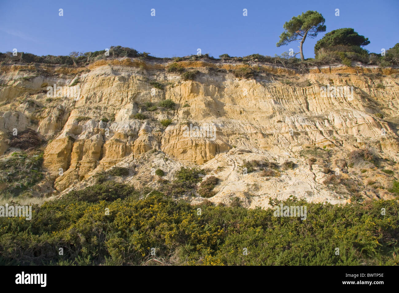 Atlantic Bagshot Beds Beach Beaches Blue Sky Blue Bracklesham Group ...
