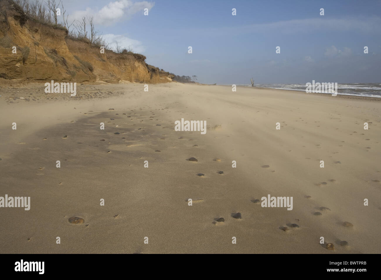 Windblown sand on beach, with pebbles partially covered in sand ...