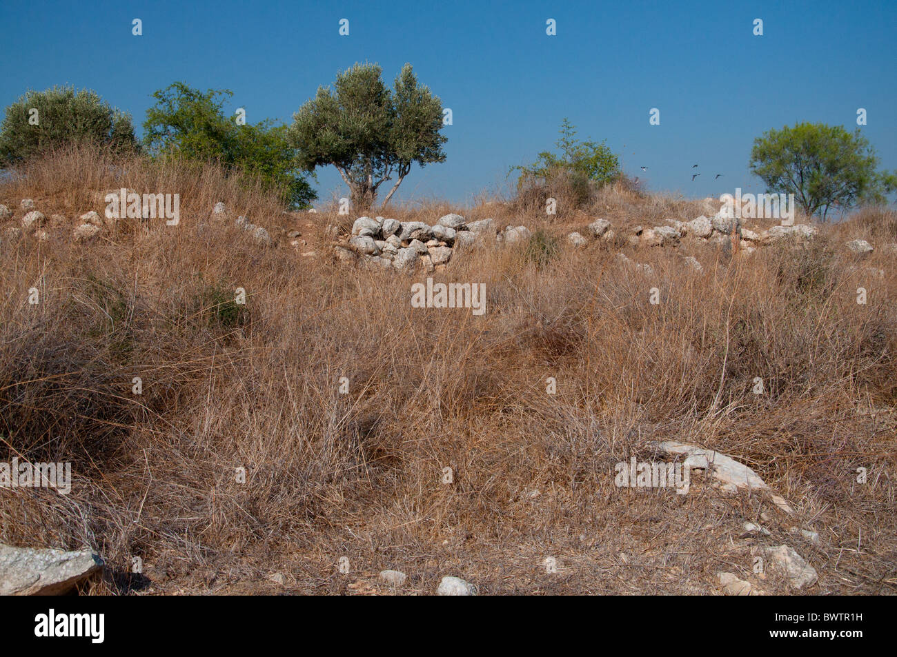 Biblical landscape hi-res stock photography and images - Alamy
