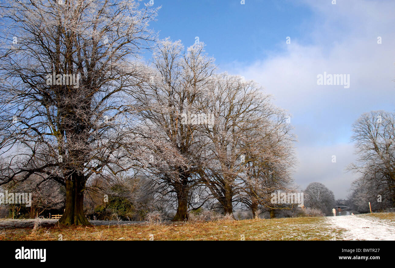 Tring Park High Resolution Stock Photography and Images - Alamy