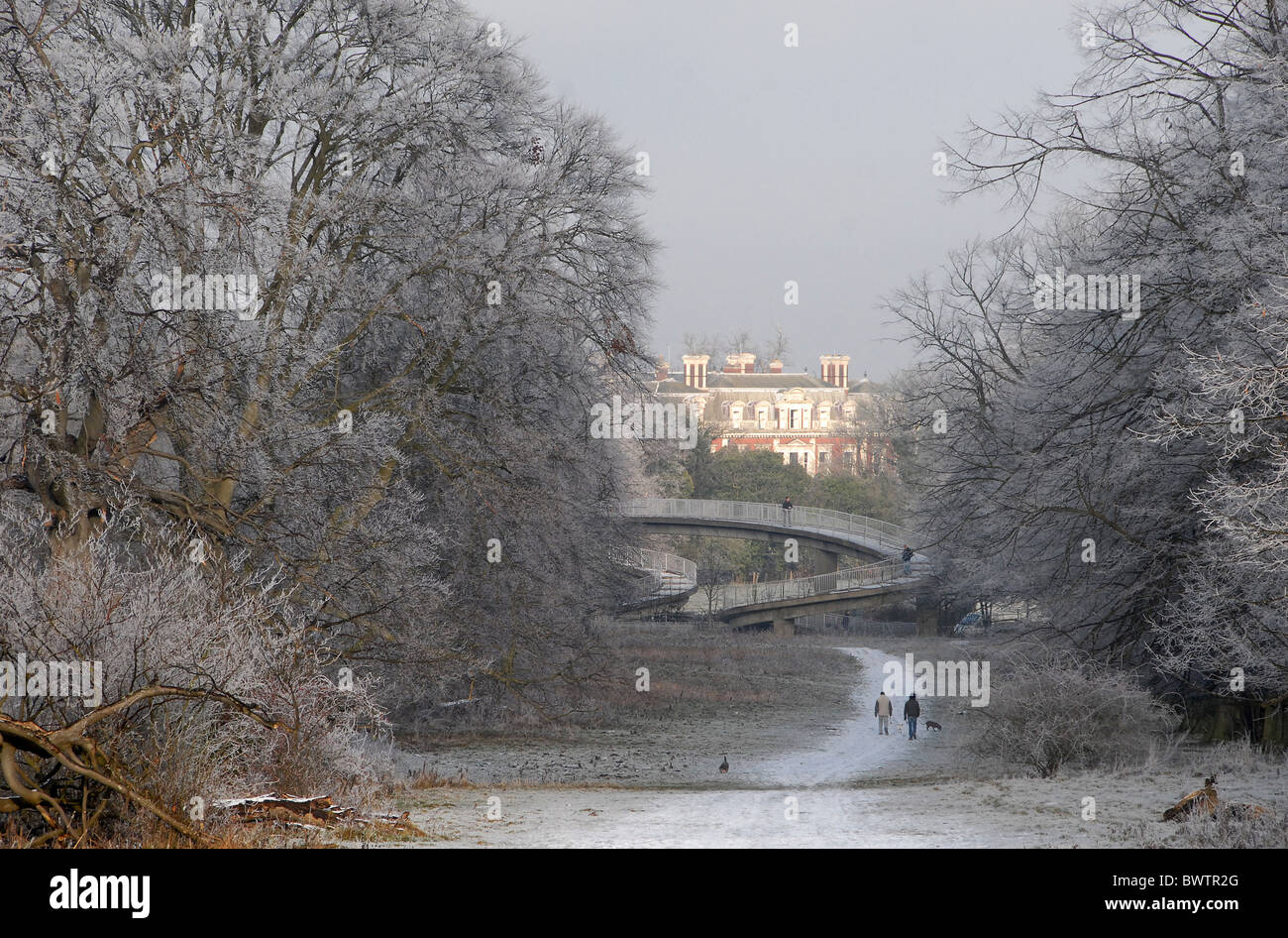 Tring park school, herts hi-res stock photography and images - Alamy