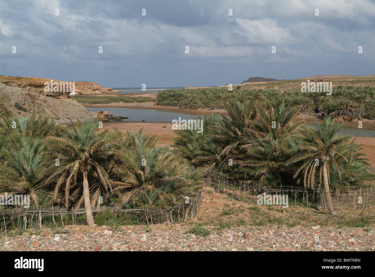 Yemen Socotra island Arabic Arabian Arab travel UNESCO world natural ...