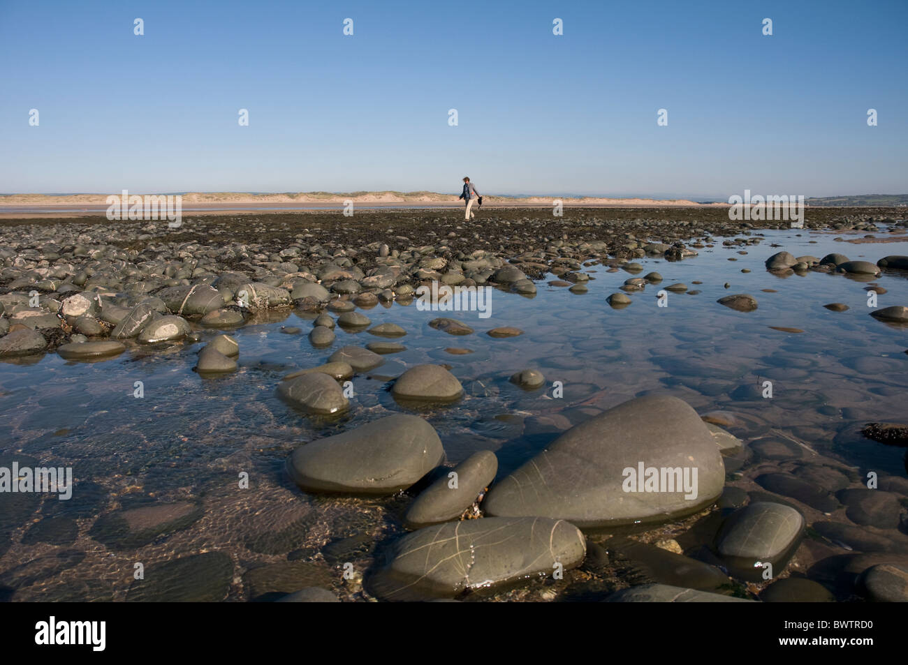 A person explores the rock pools left at low tide in the Taw Torridge ...