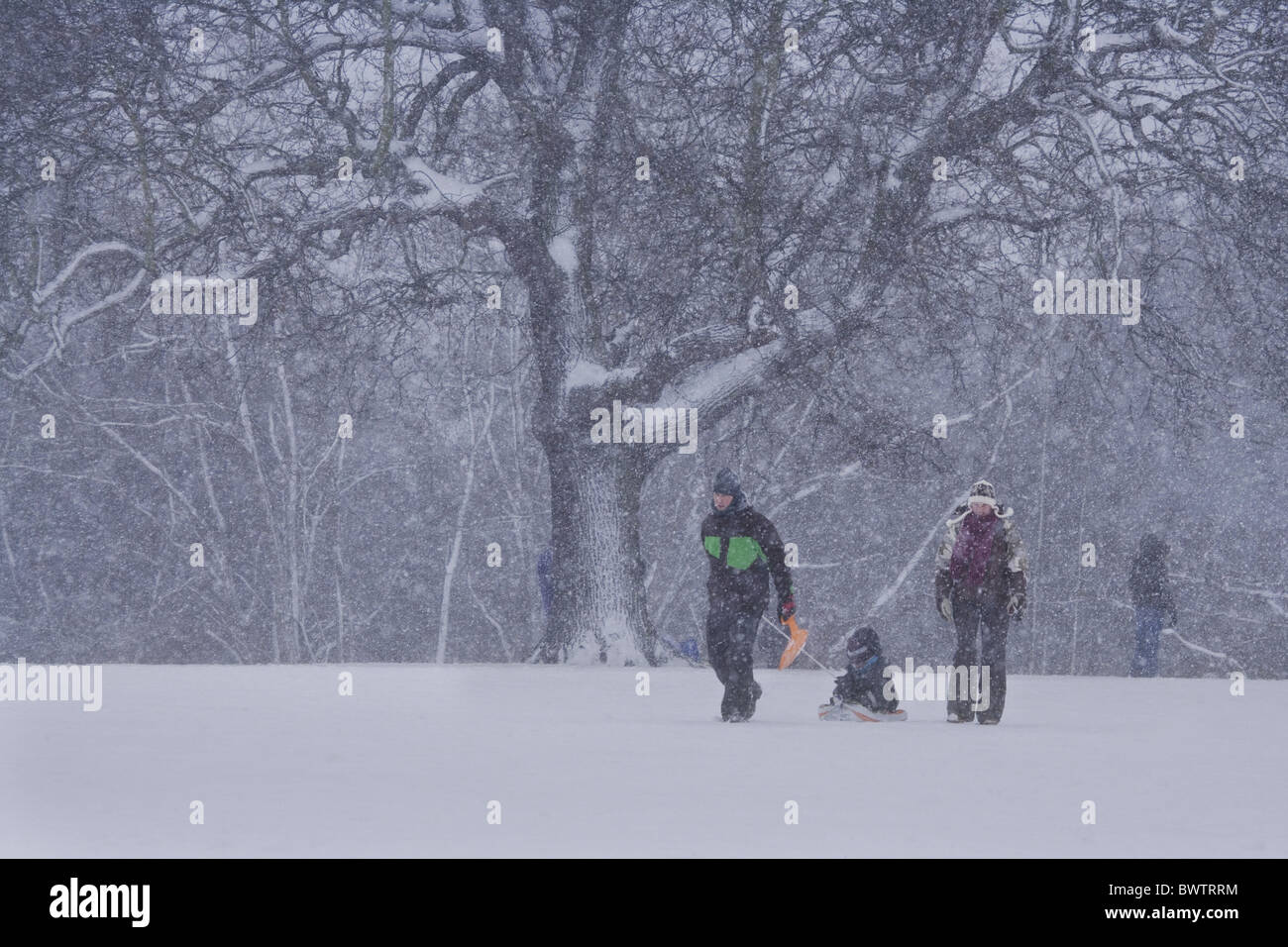 Adults pulling child sledge heavy snow Stock Photo - Alamy