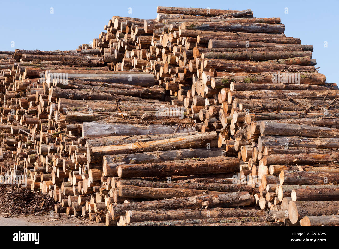 Pit props hi-res stock photography and images - Alamy