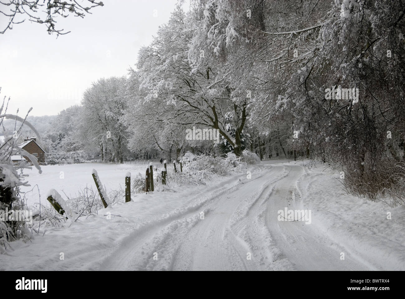 Snow country lane hi-res stock photography and images - Alamy