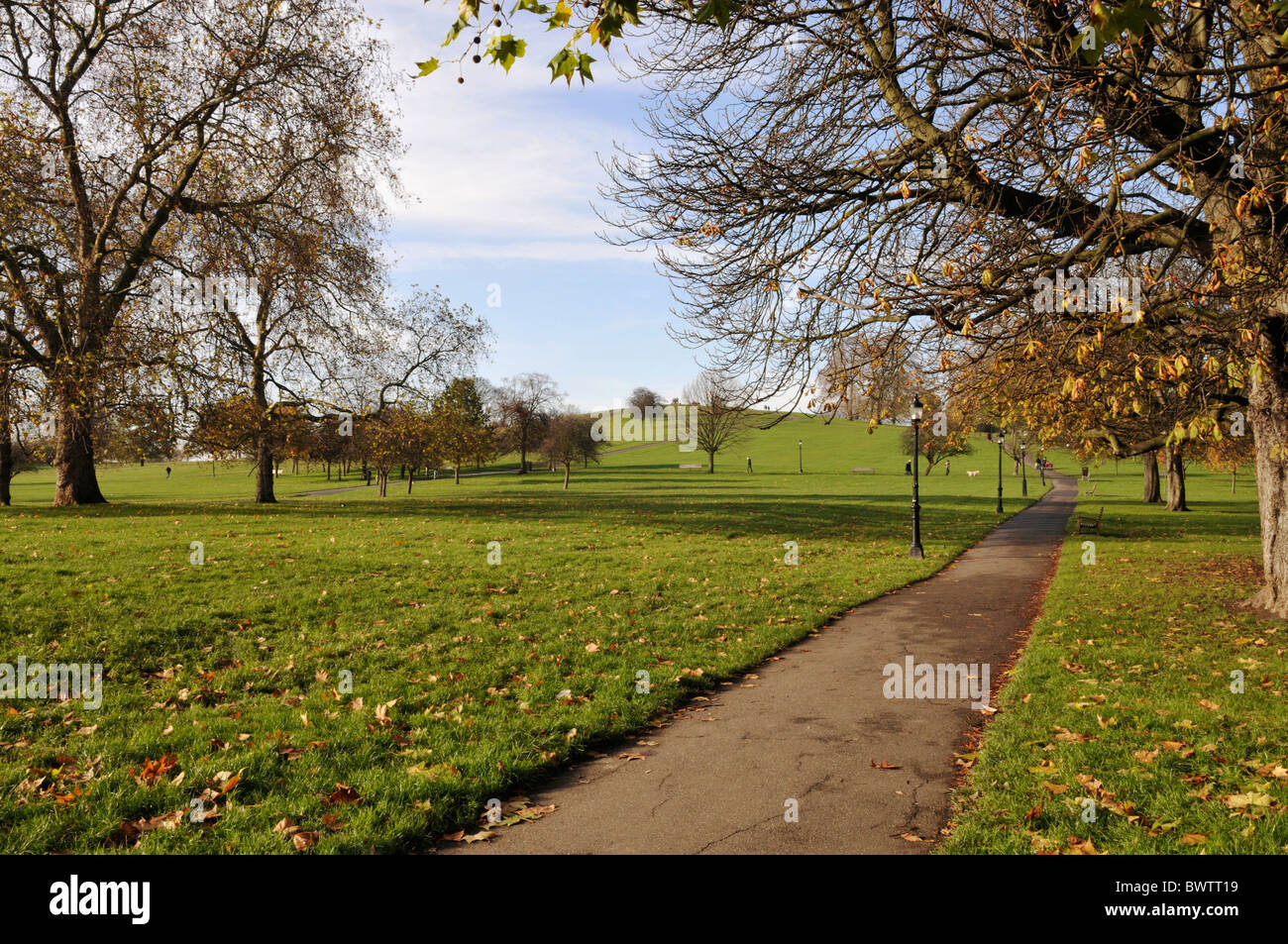 Autumnal view of Primrose Hill Park from Regents Park Road, London ...