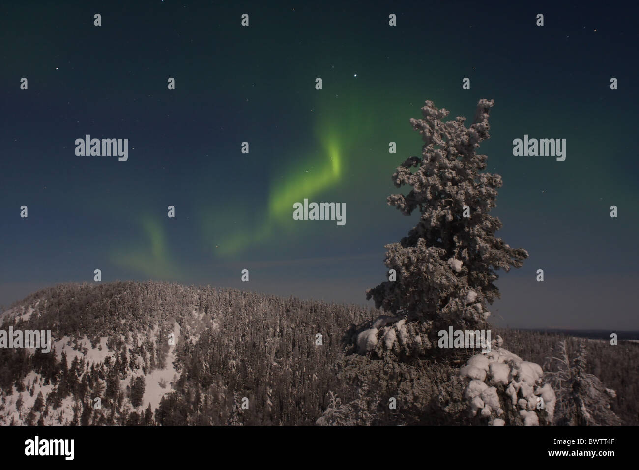 Revontulet Aurora borealis kuunvalo Northern lights moonlight talvi ...