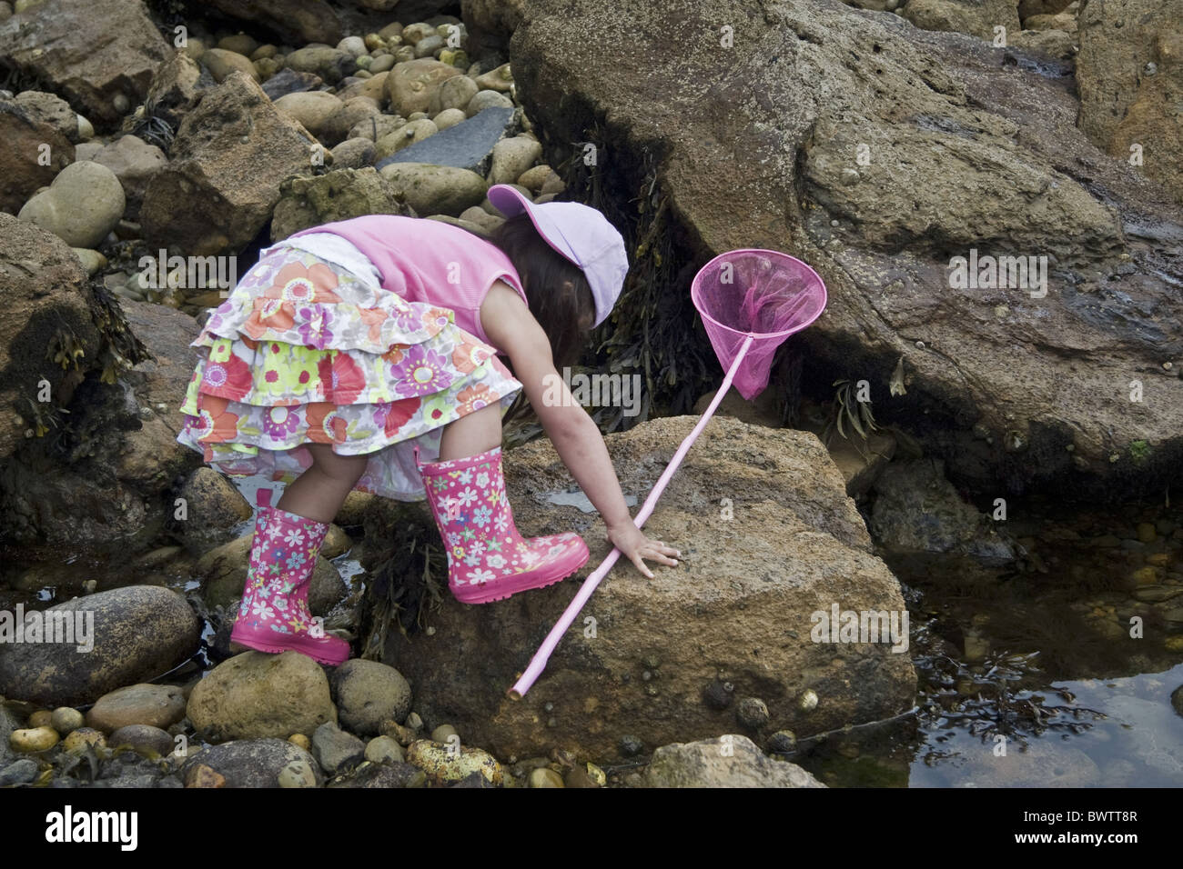 Exploring rockpools hi-res stock photography and images - Alamy