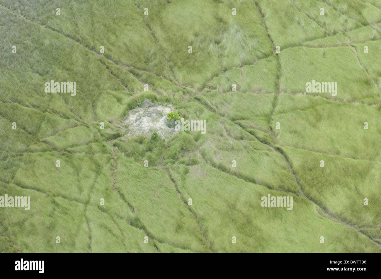 Africa african botswana kwara hi-res stock photography and images - Alamy