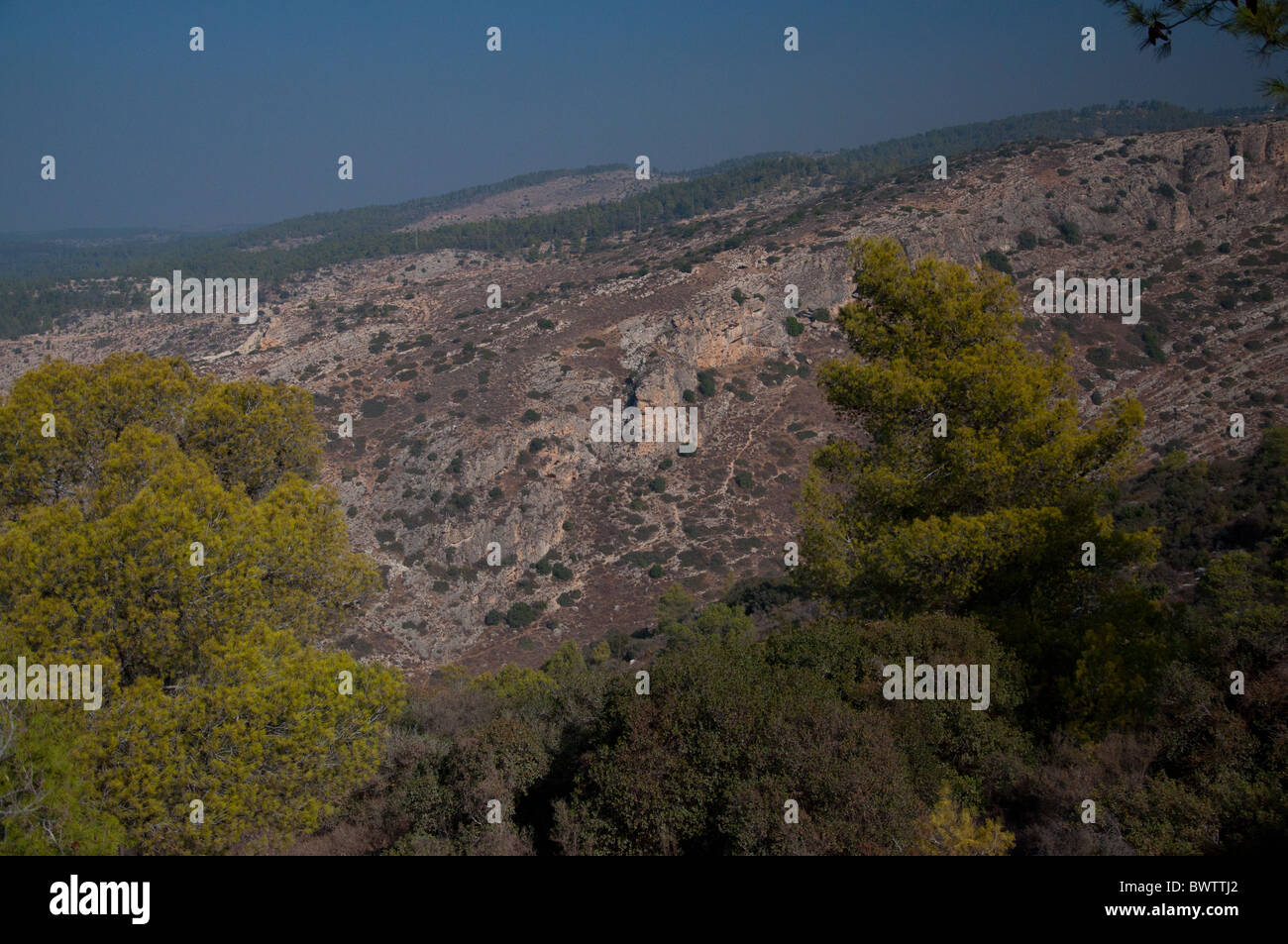Judean hills hi-res stock photography and images - Alamy