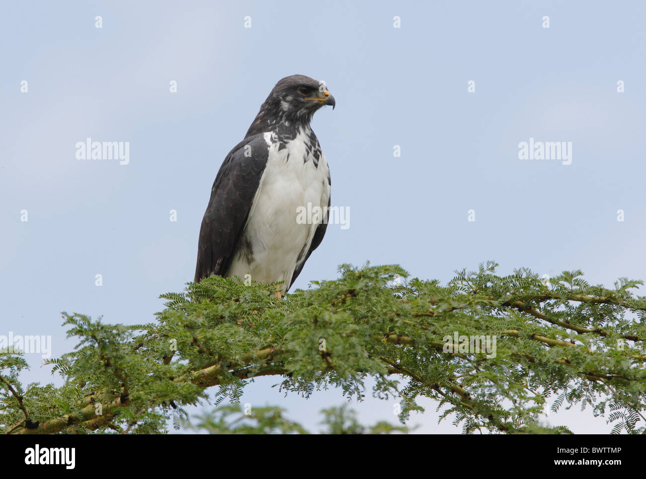 Augur lake hi-res stock photography and images - Alamy