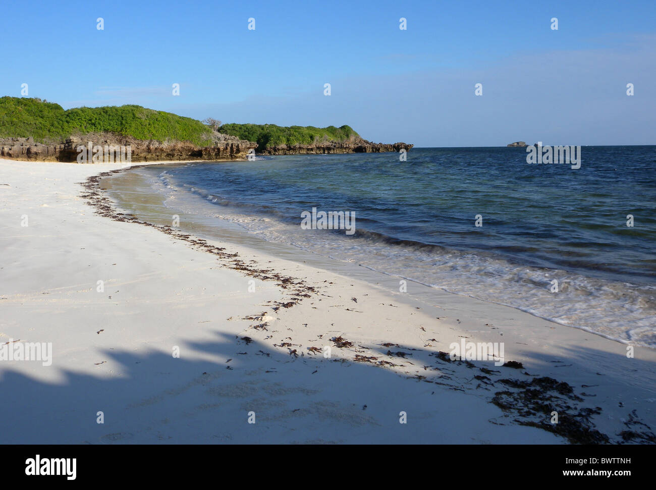 View sandy beach with strandline Watamu Kenya Stock Photo - Alamy