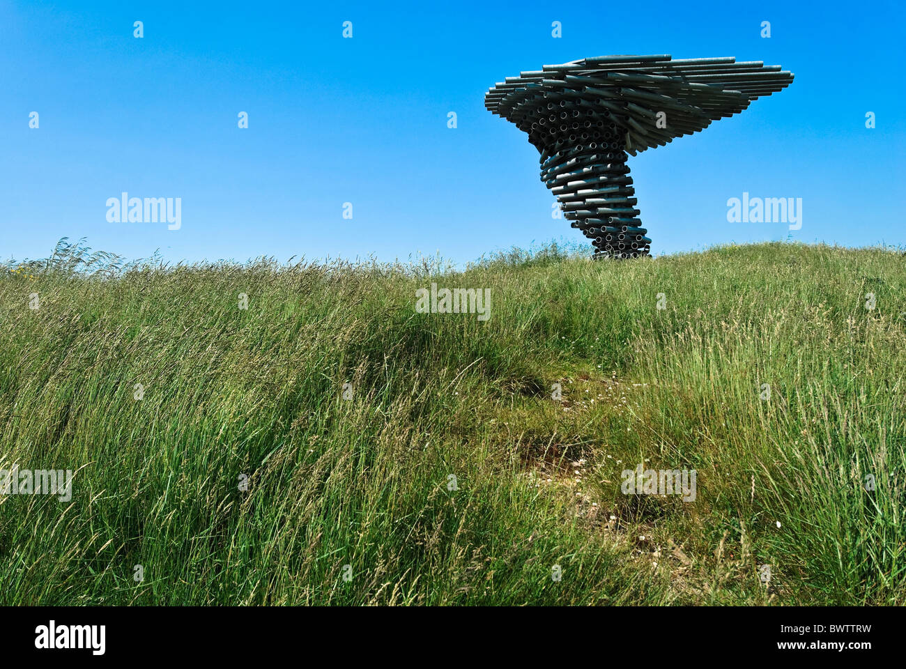 The Singing Ringing tree designed by Anna Liu and Mike Tonkin. Situated ...