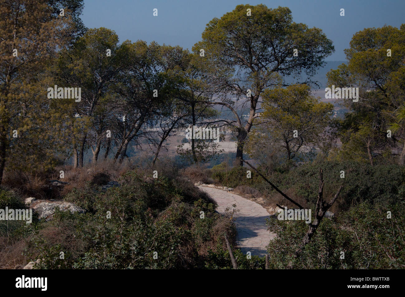 In the vicinity of Mount Ye'ela Stock Photo - Alamy