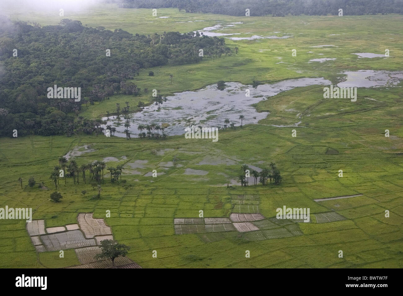 Aerial view african rice paddies hi-res stock photography and images ...