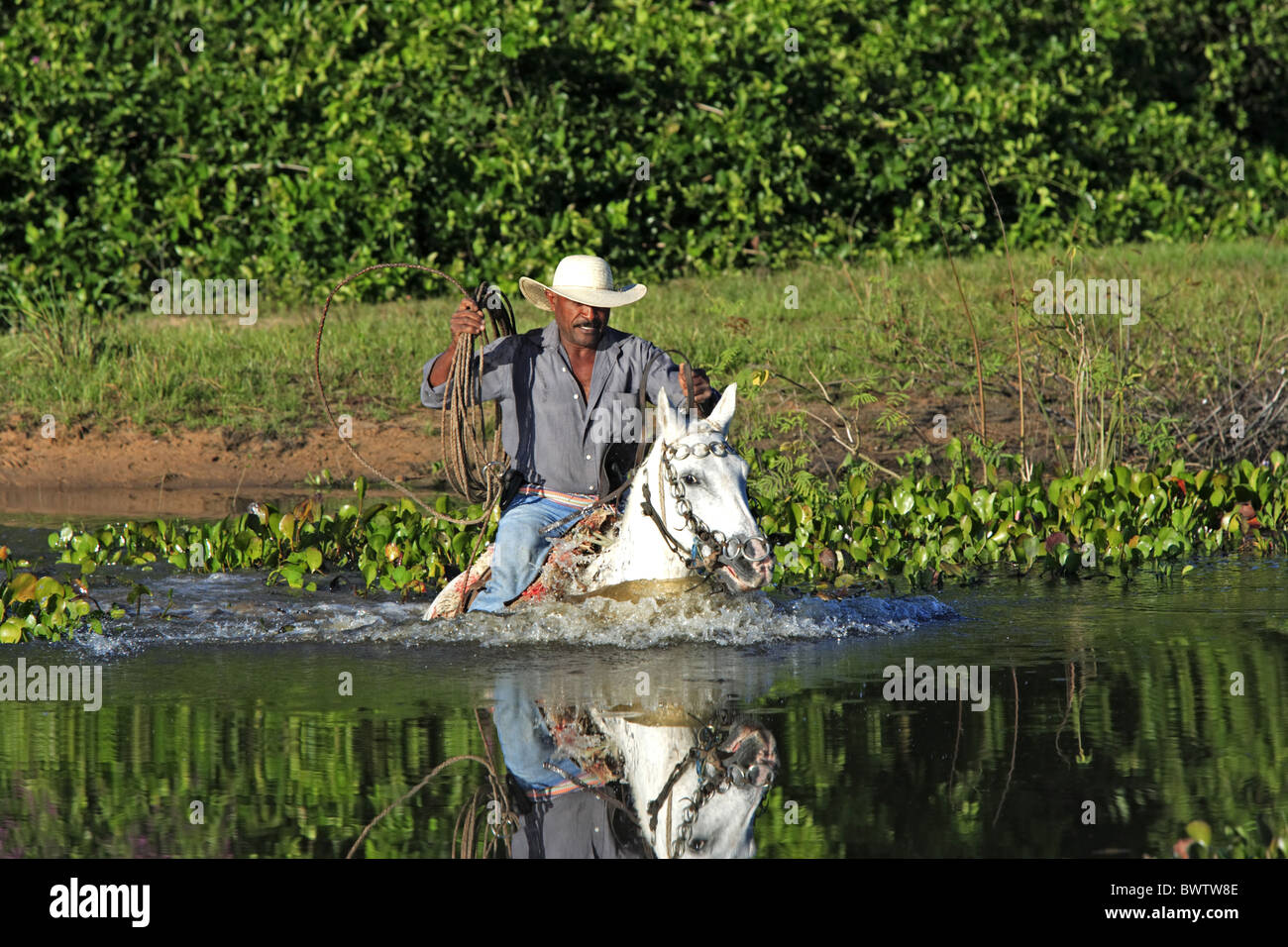 am Wasser - at water im Wasser - in water reiten - riding horse horses ...