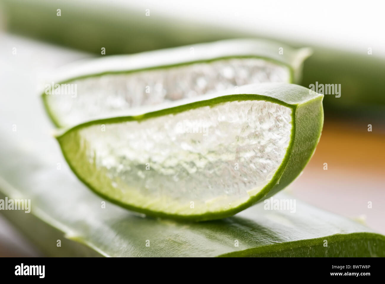 Aloe leaves with cut aloe slice as closeup on white background Stock ...