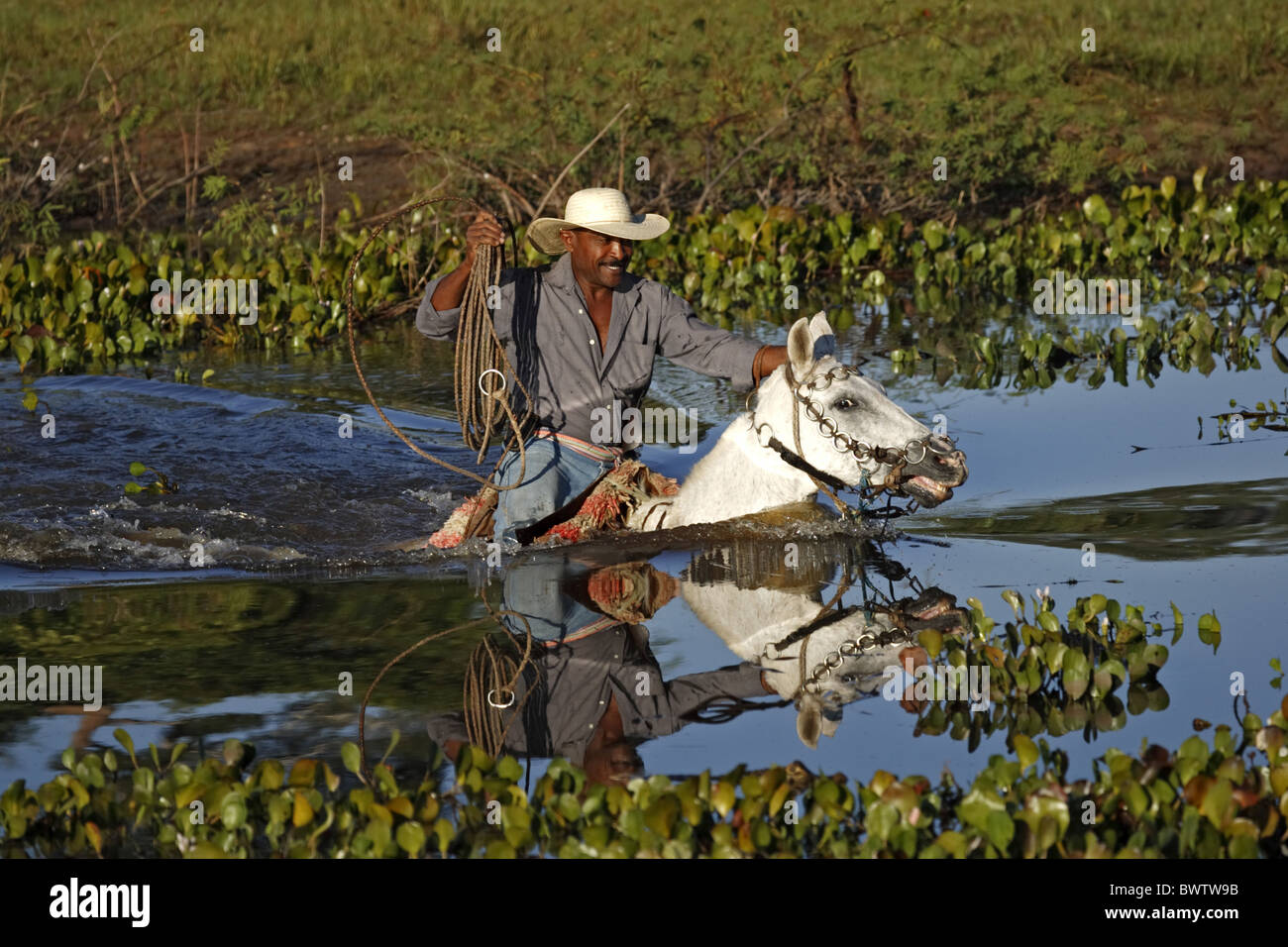 am Wasser - at water im Wasser - in water reiten - riding horse horses ...