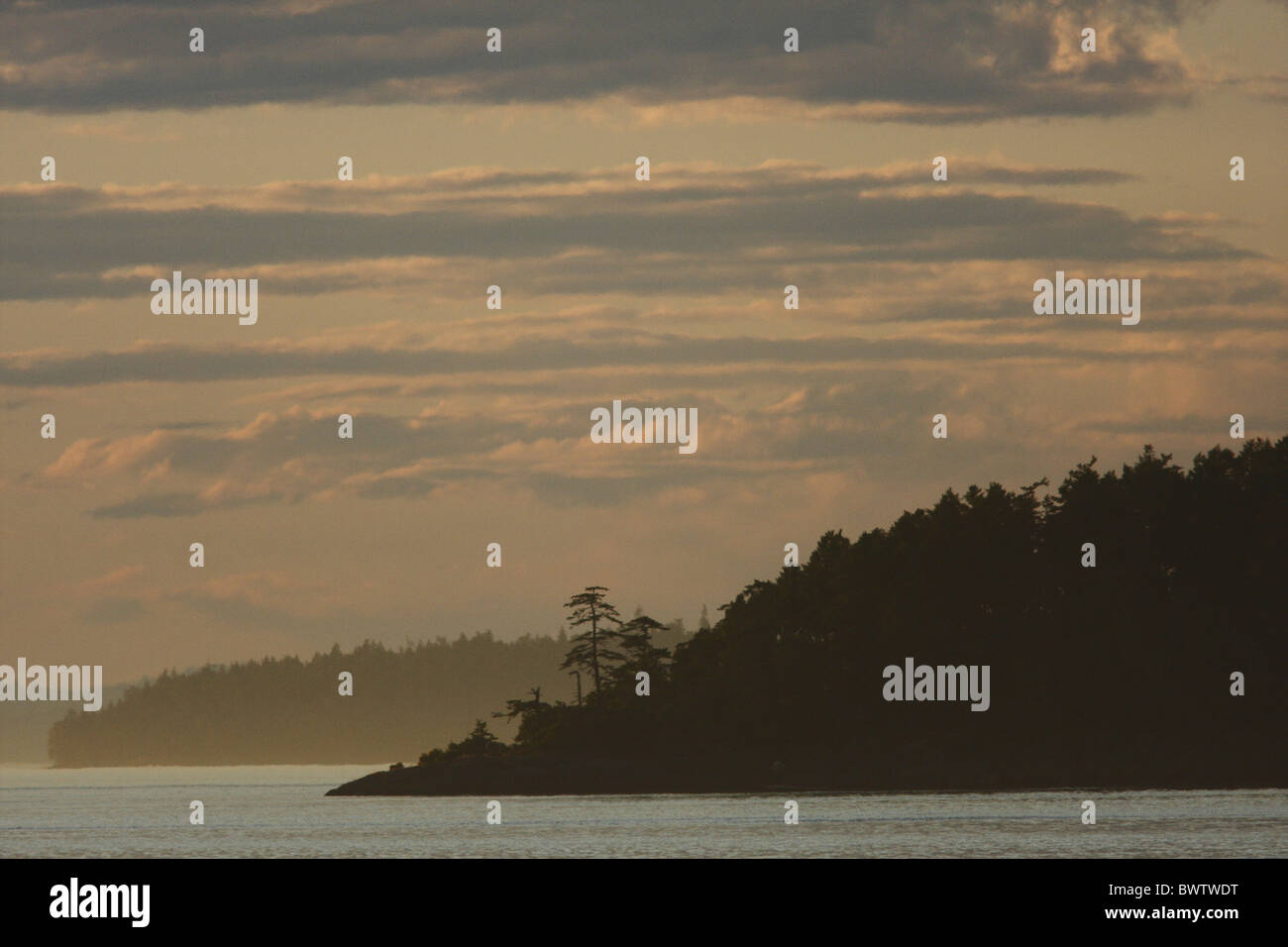 View coastline with forest silhouetted dusk Stock Photo - Alamy