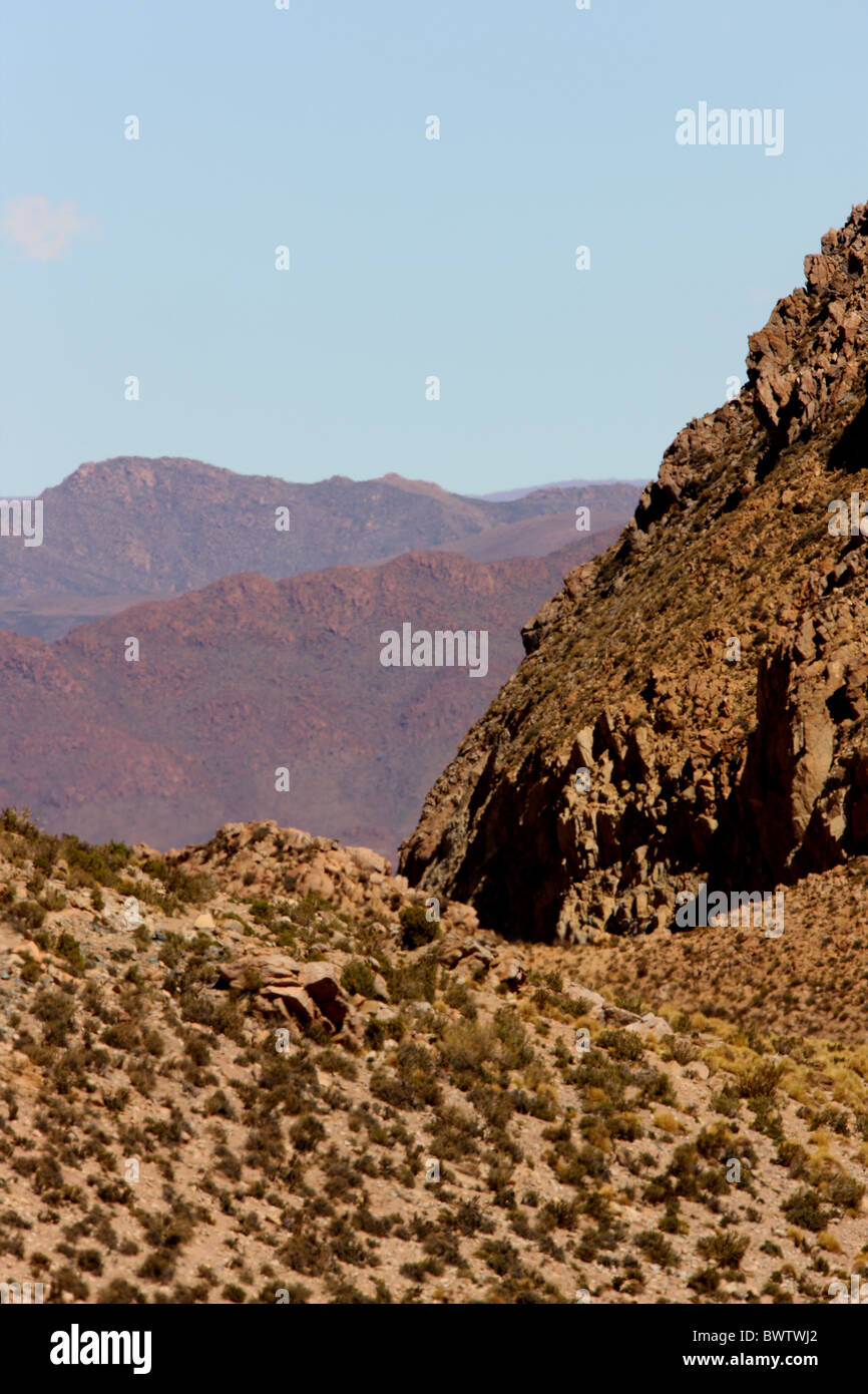 Puna habitat hi-res stock photography and images - Alamy
