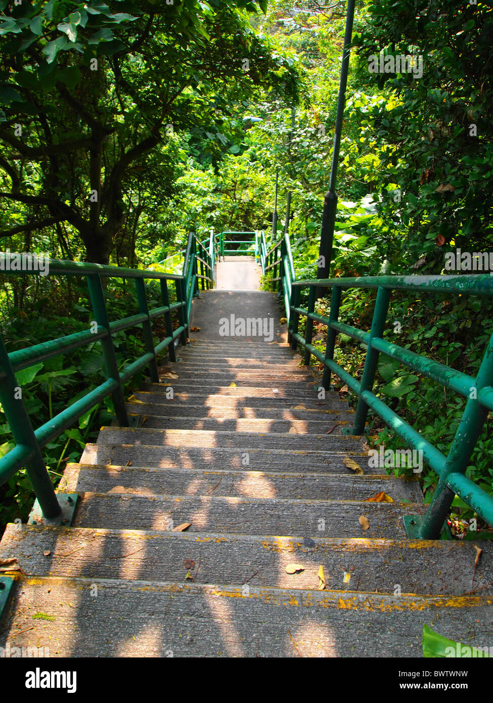 Aerial view of a staircase in country side Stock Photo - Alamy