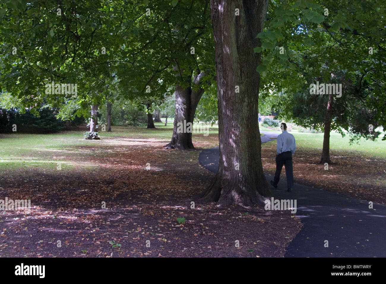 Henrietta Park in late summer: Bath, England, UK Stock Photo - Alamy