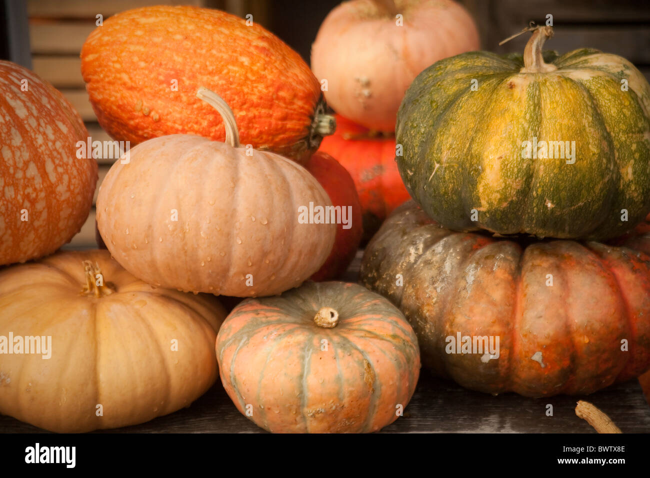 Gord hi-res stock photography and images - Alamy