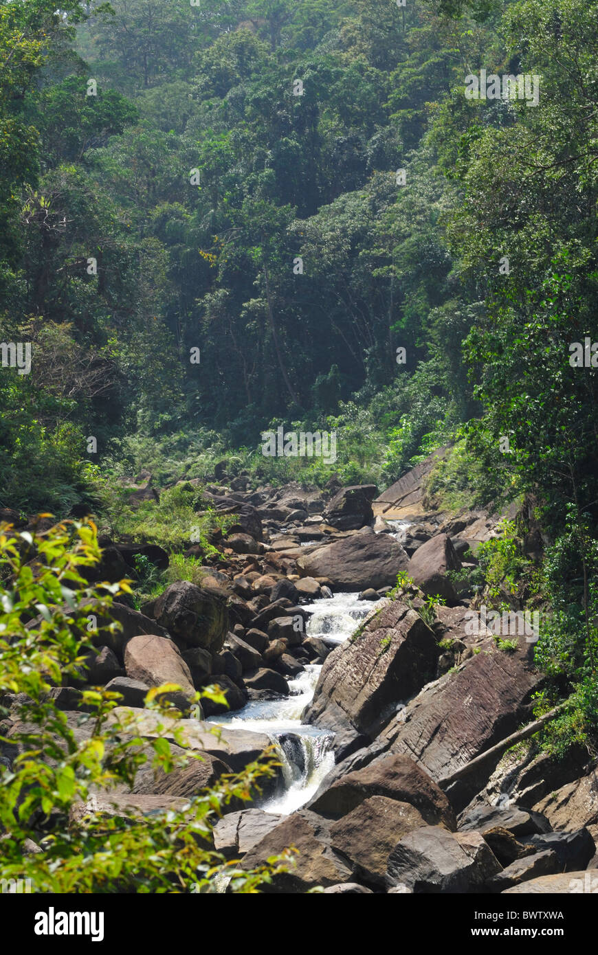 Tributary river sri lanka hi-res stock photography and images - Alamy