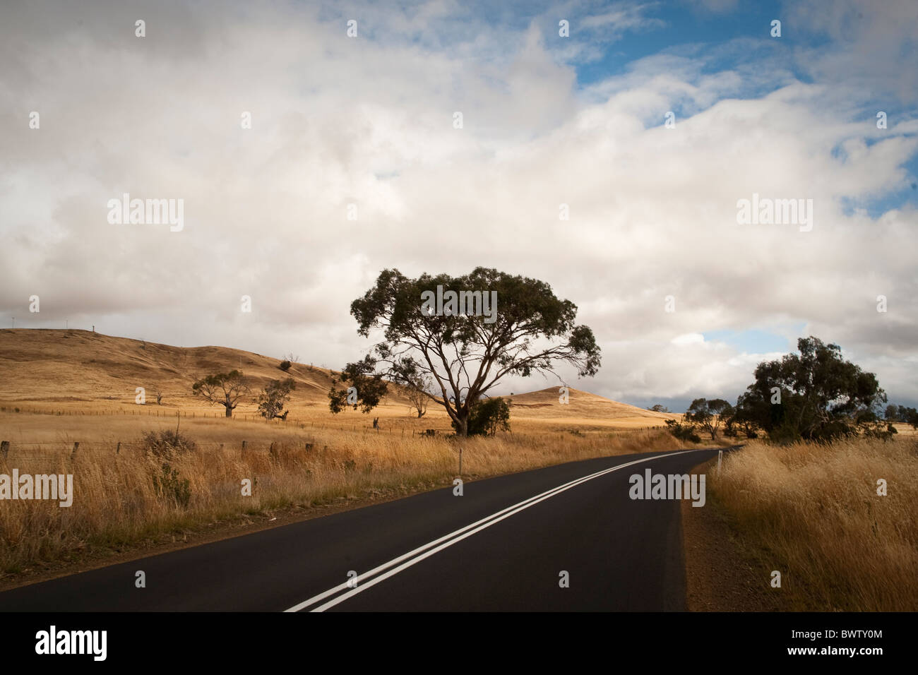 Roadway sky tree hi-res stock photography and images - Alamy