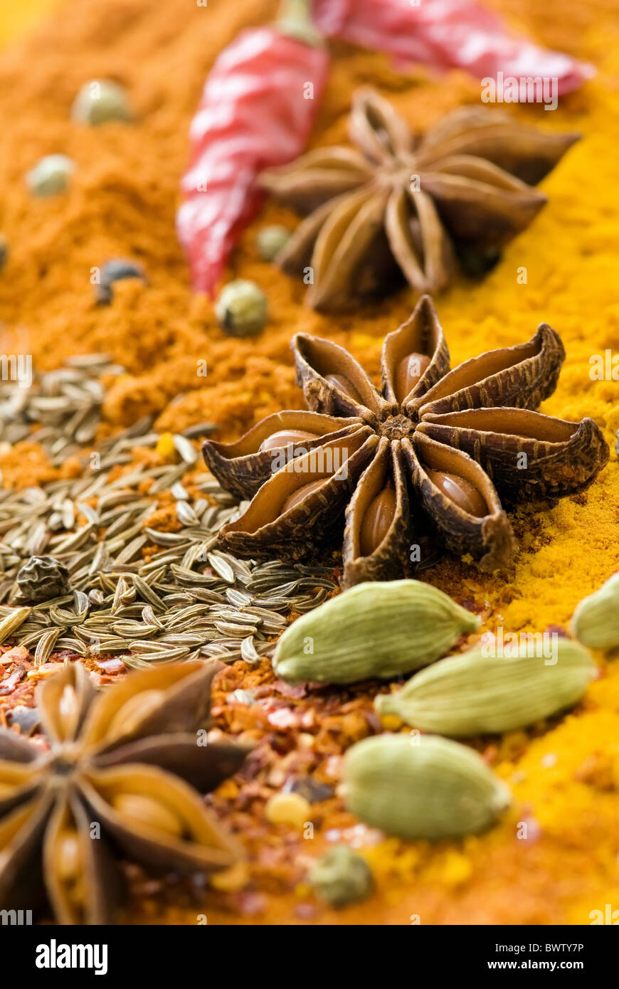 Exotically colorful spice mix with different power and grain as closeup ...