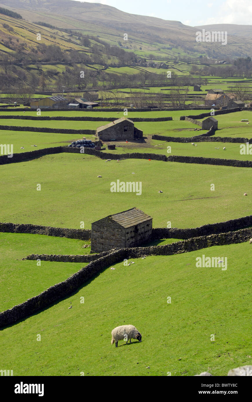 Yorkshire Dales stone barns Gunnerside. britain british english england ...