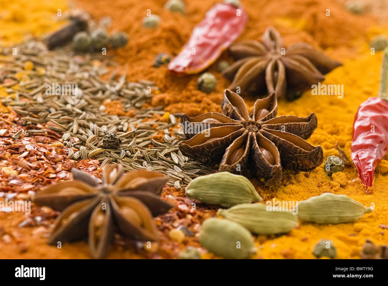 Exotically colorful spice mix with different power and grain as closeup ...