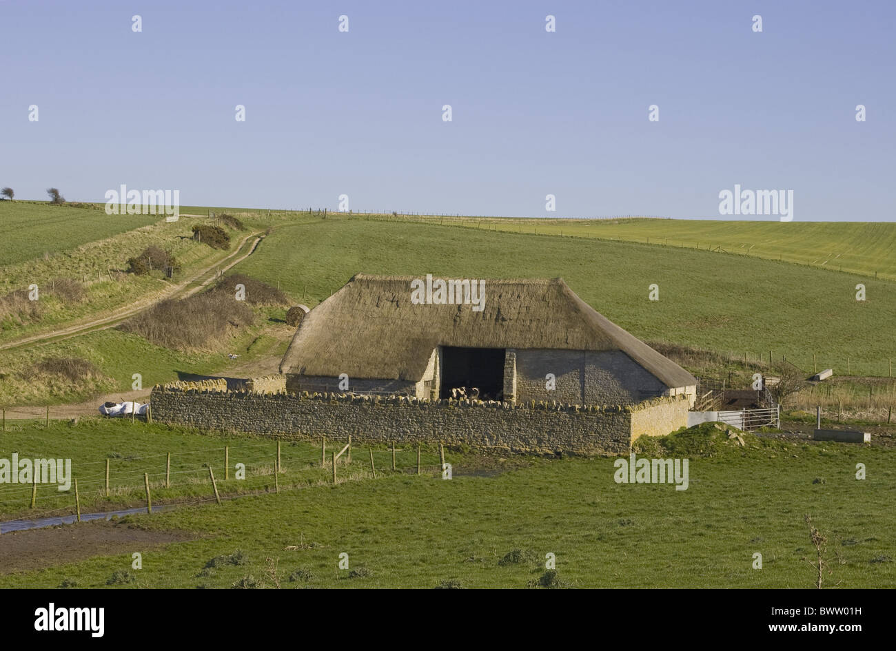 Thatched Stone Stones Barn Barns Cattle Cow Cows Shelter Animal Animals ...