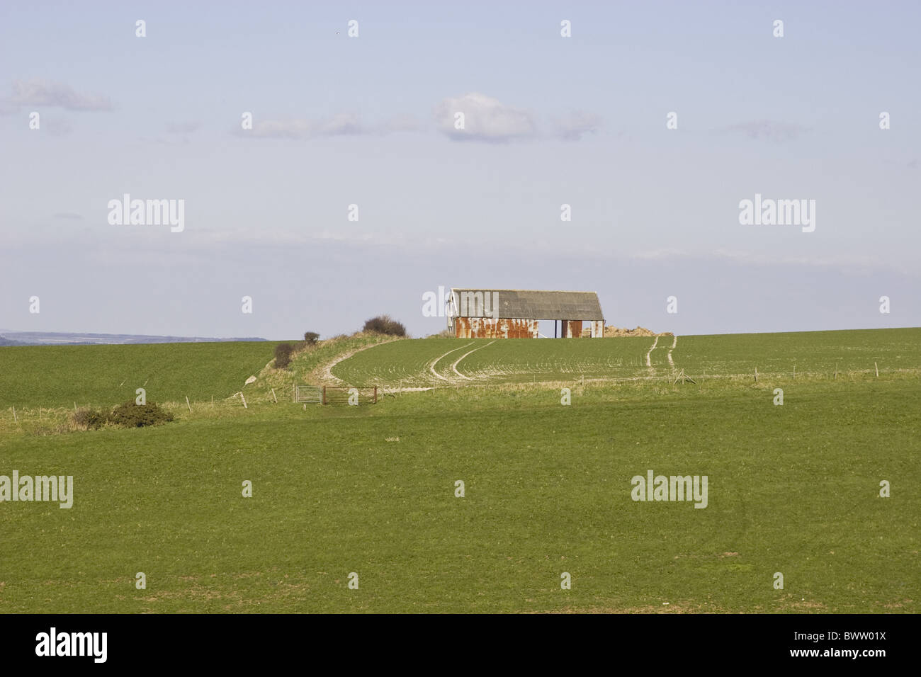 Barn Barns Open Pasture Pastures Green Field Fields Farm Farmer Farms ...
