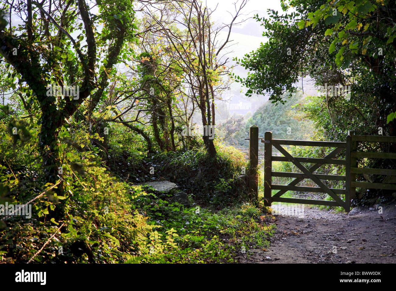 Cornwall St Austell woodland footpath britain british english england ...