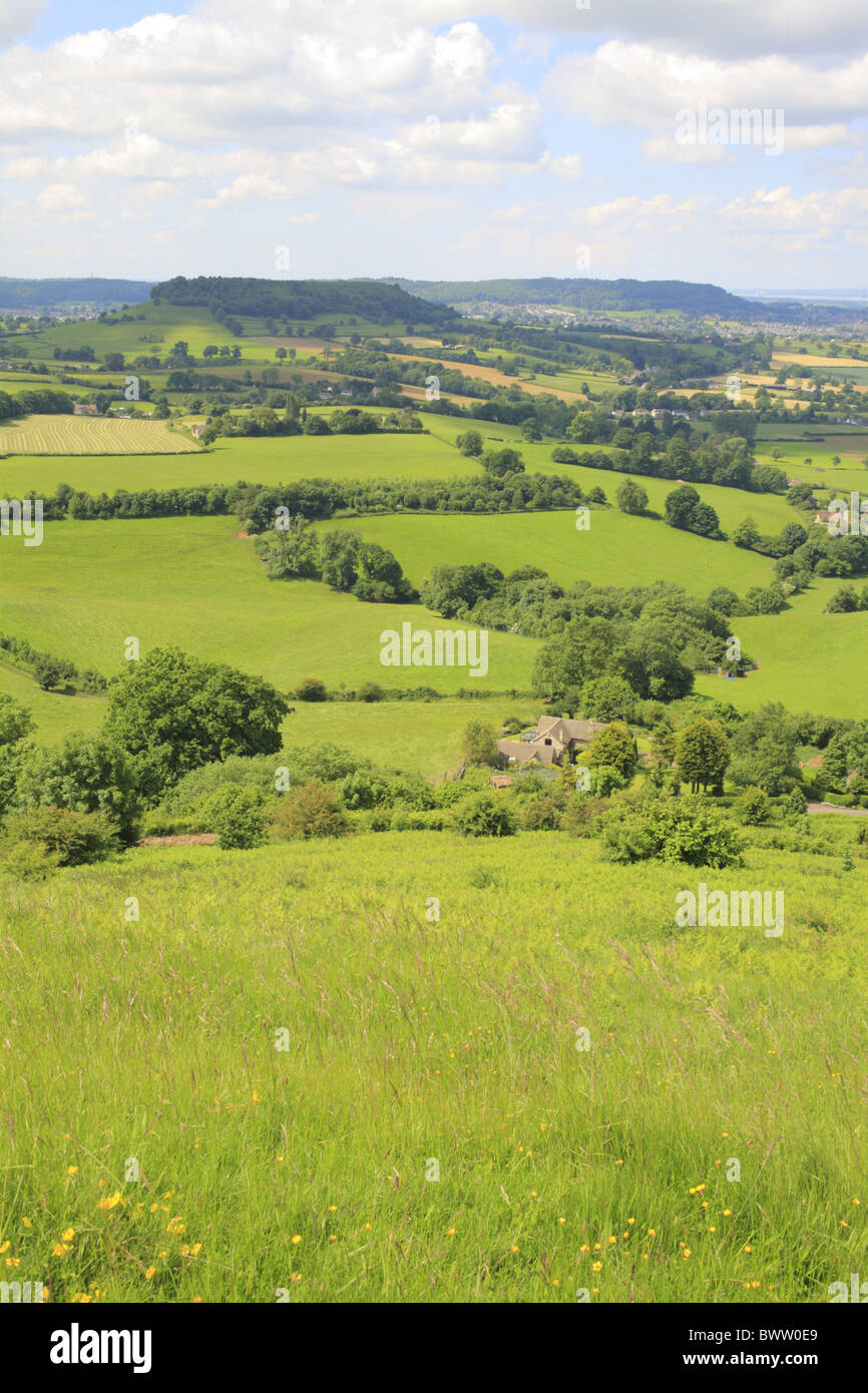 cotswolds scarp landscape scene scenery wood hill hilly hedge field ...