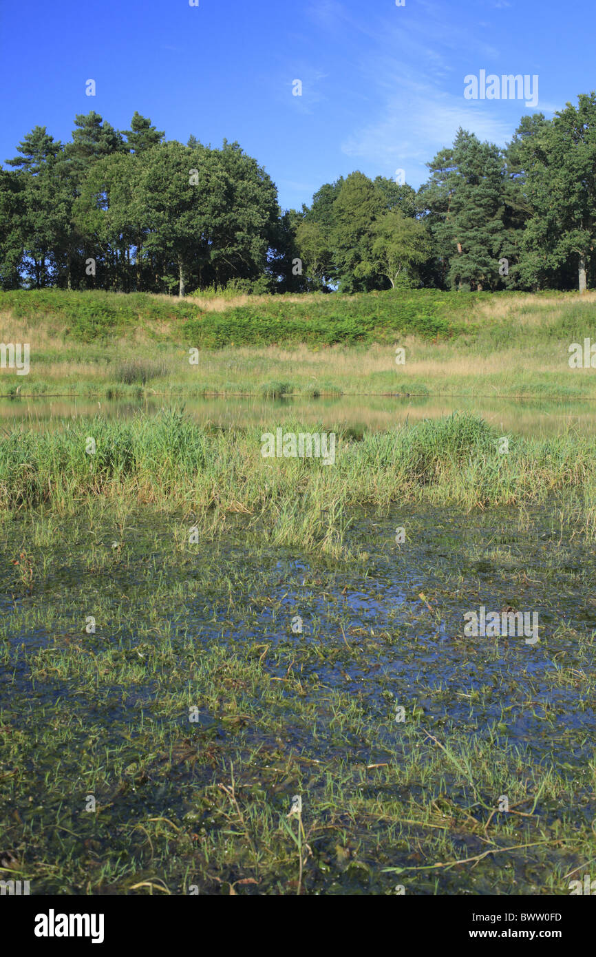 devils punchbowl norfolk mere lake doline depression pool geology ...